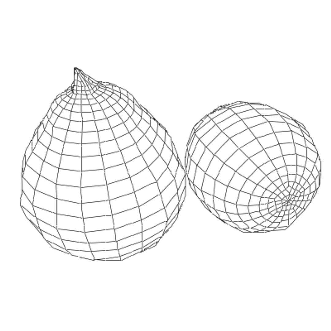 Gourd Scan 3d Model