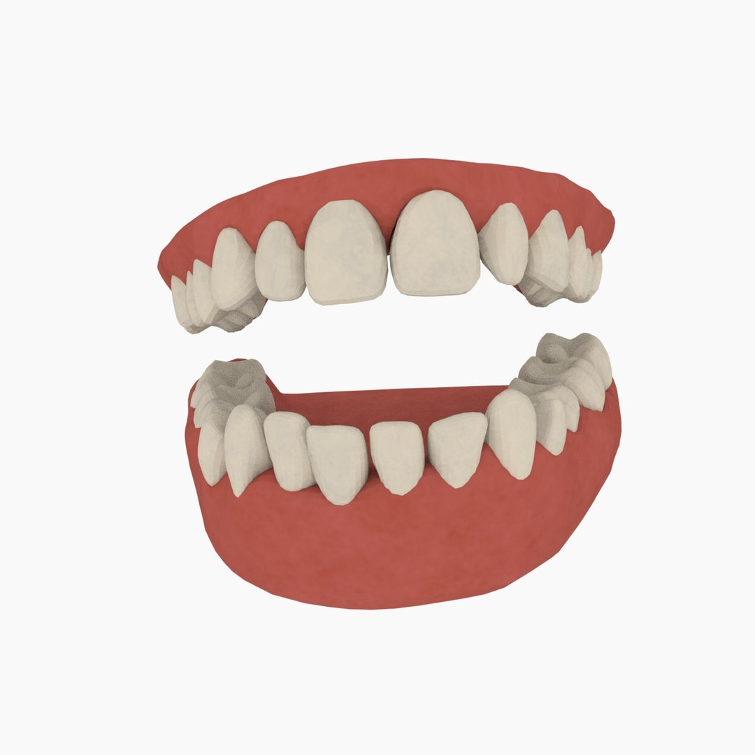 Mouth teeth 3D model - TurboSquid 1175556
