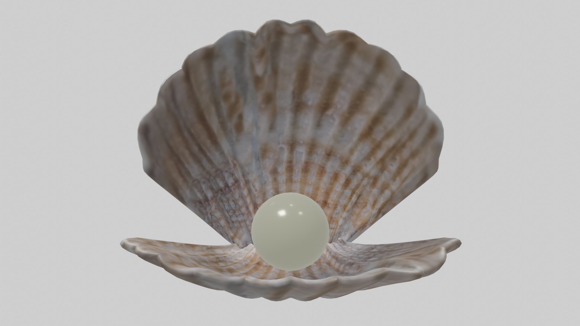 3D Sea Shell - TurboSquid 2070224