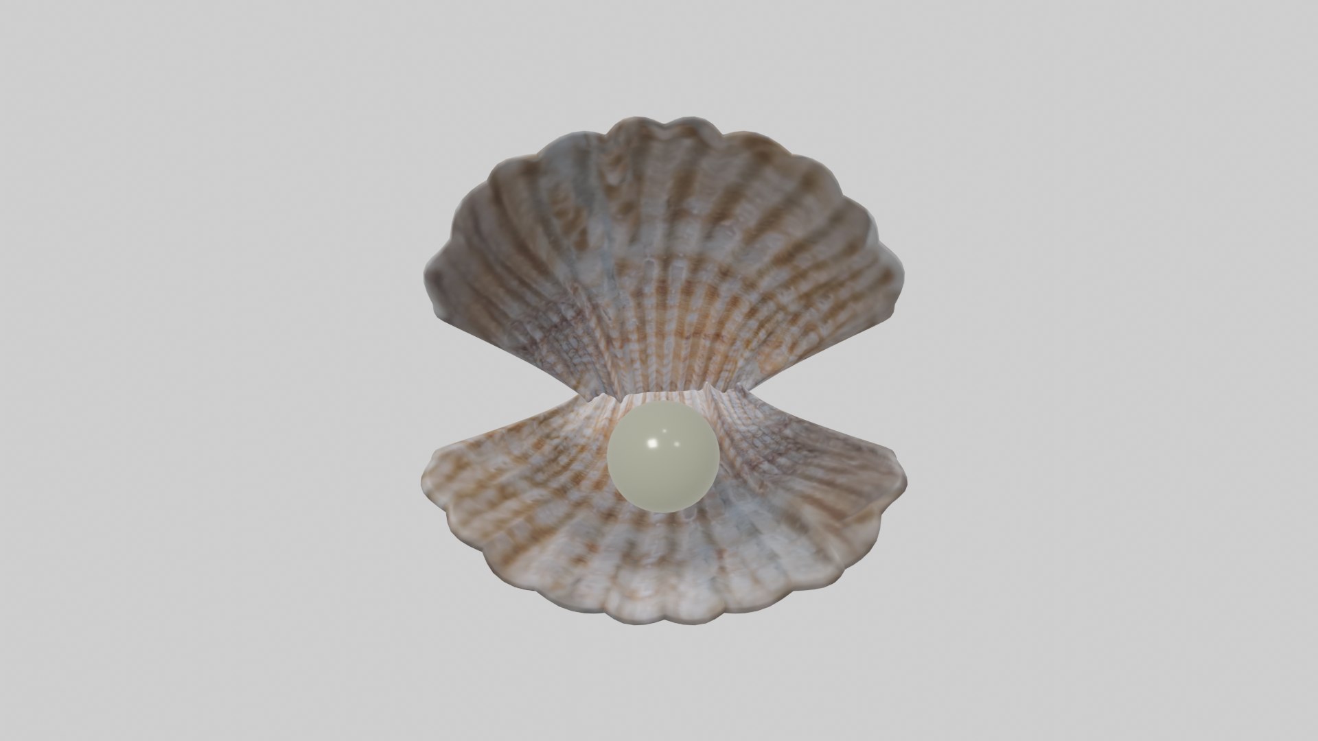 3D Sea Shell - TurboSquid 2070224