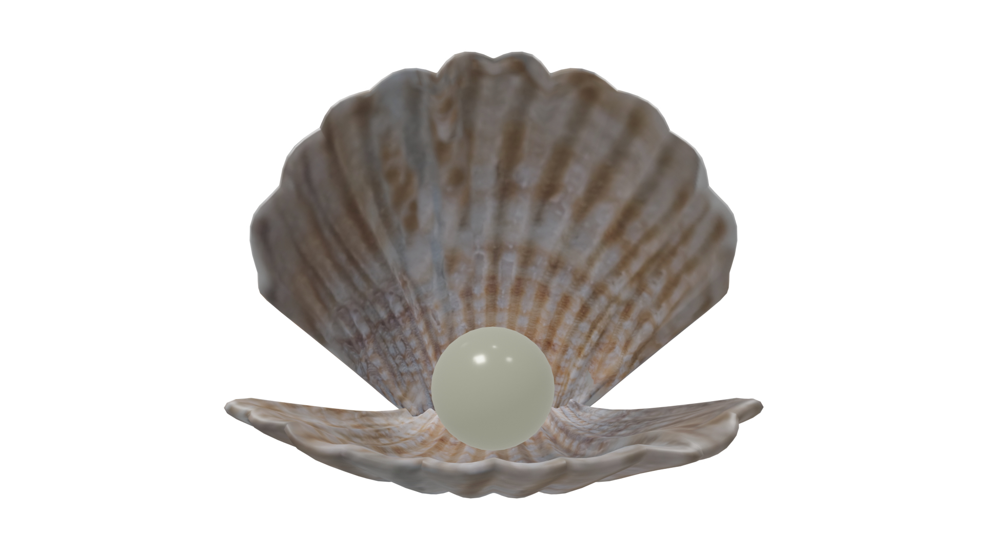 3D Sea Shell - TurboSquid 2070224