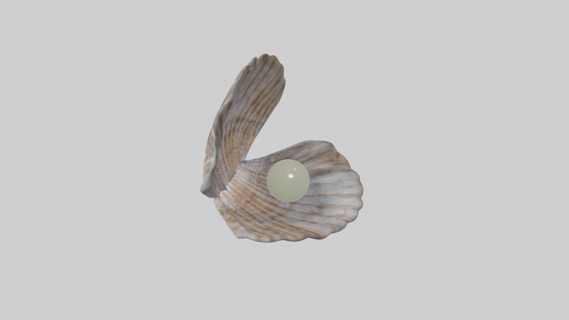 3D Sea Shell - TurboSquid 2070224