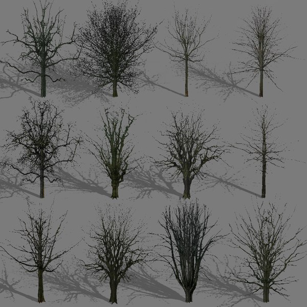 winter trees 3d model