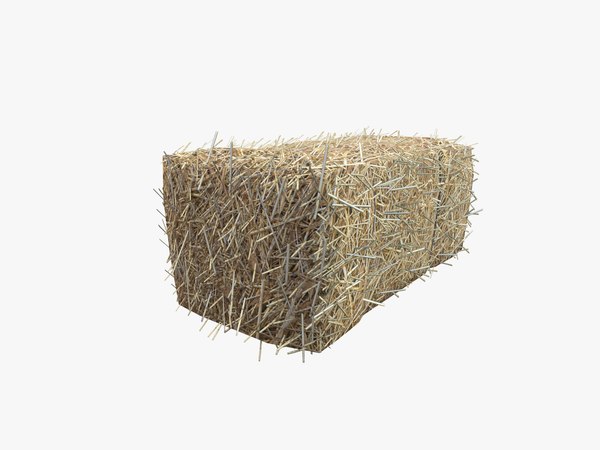 Low Poly Hay 건배 (LOD 포함) 3D 모델 - TurboSquid 1303745