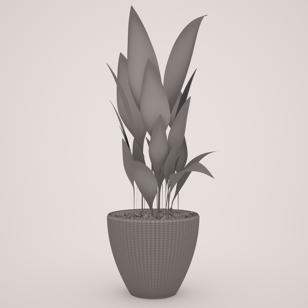 3D Ficus Plant Tree Model - TurboSquid 1528195