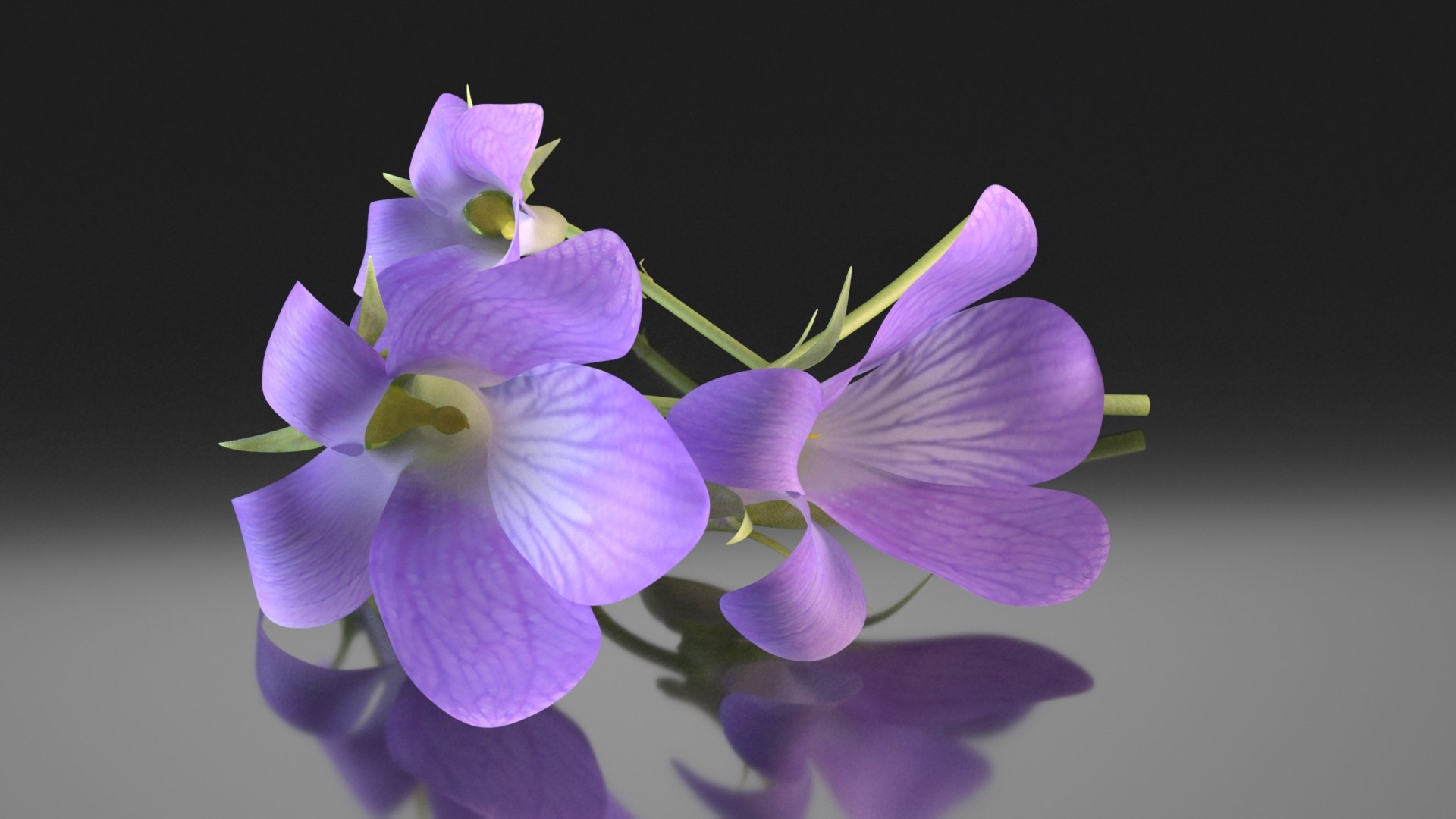 Violet Flower Wildflower 3D - TurboSquid 1680359