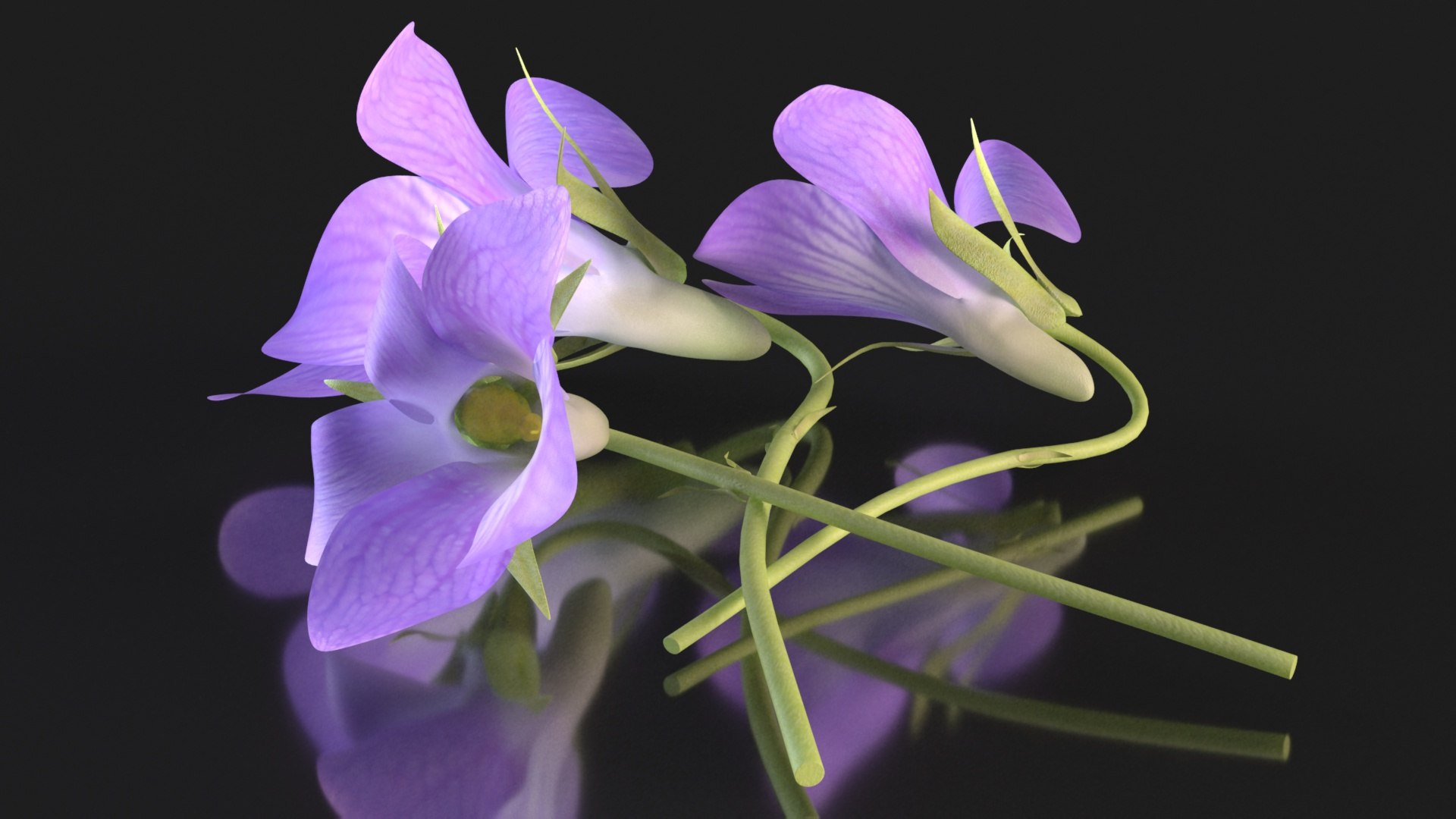 Violet Flower Wildflower 3D - TurboSquid 1680359