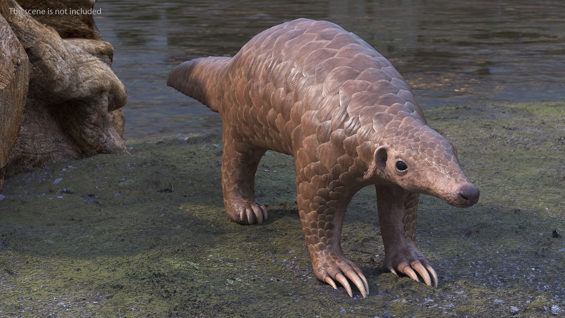 3D Pangolin Rigged For Maya - TurboSquid 2296453