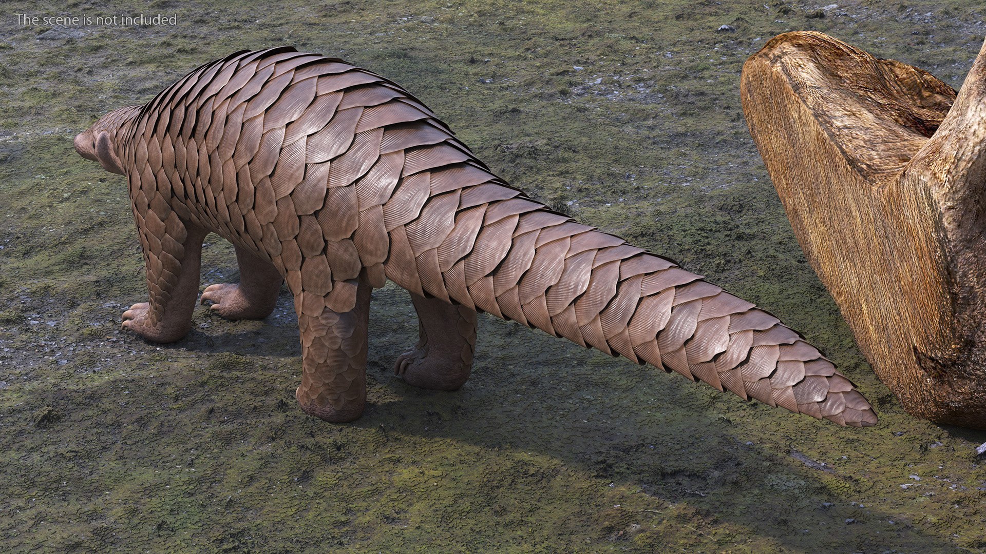 3D Pangolin Rigged For Maya - TurboSquid 2296453