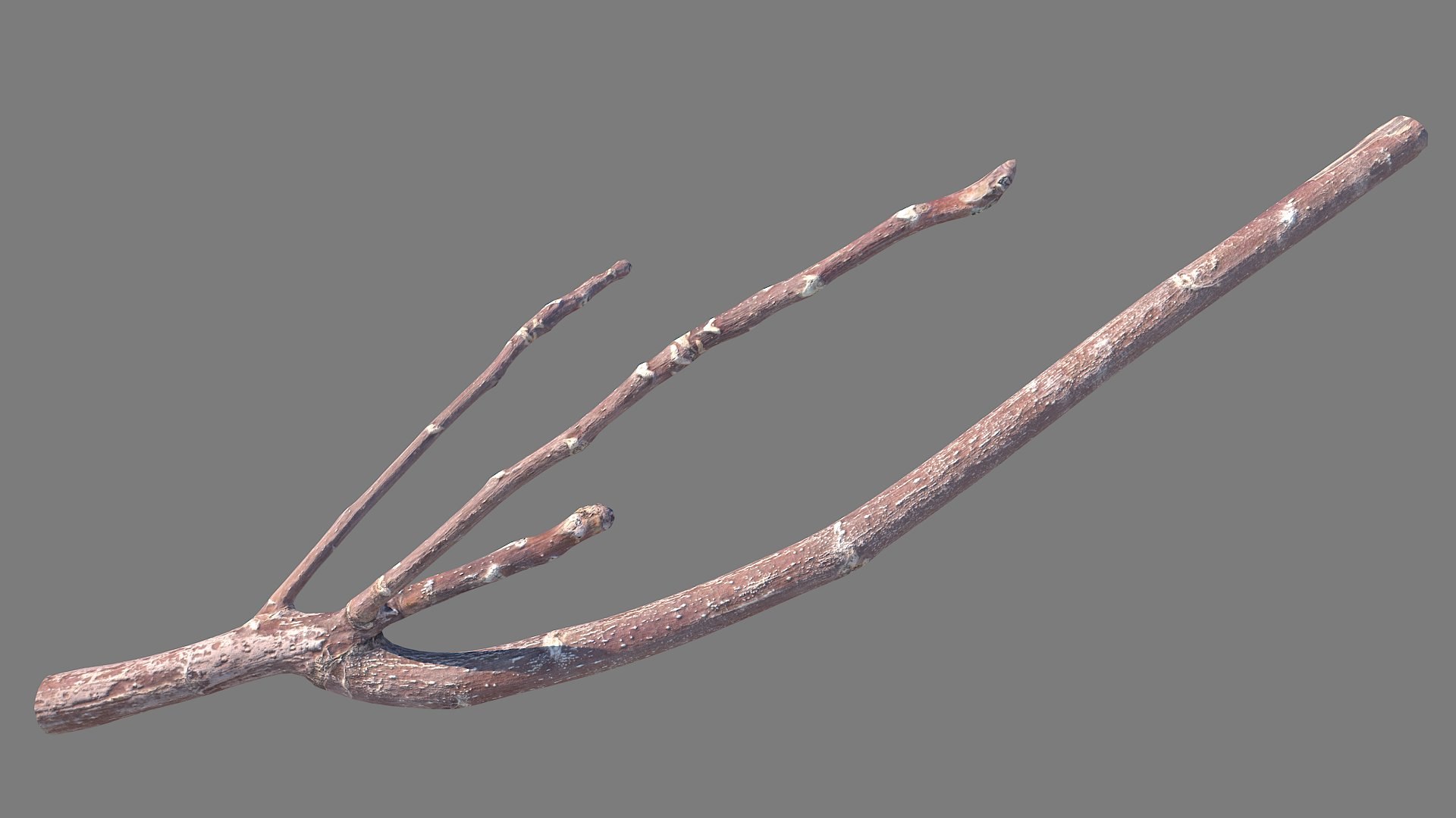 Twig Scanned 15 3D - TurboSquid 2088620