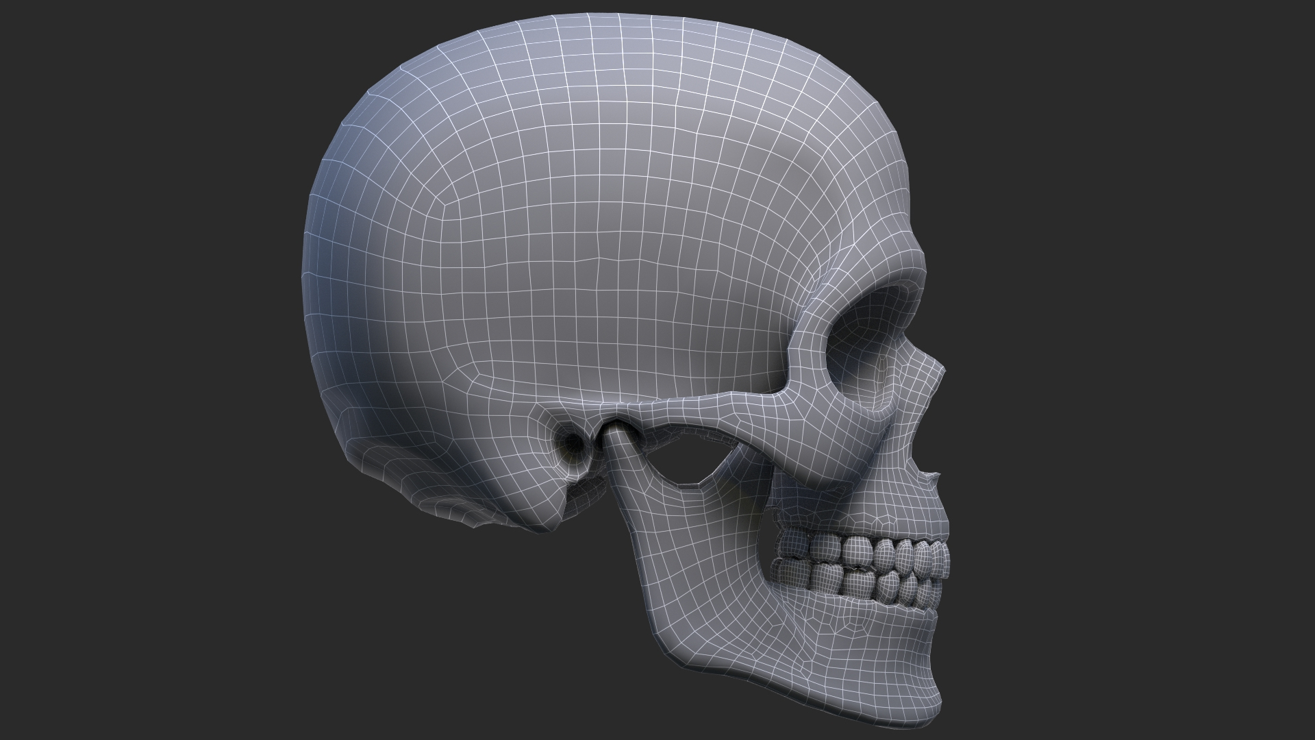 3D cranium skull - TurboSquid 1665219