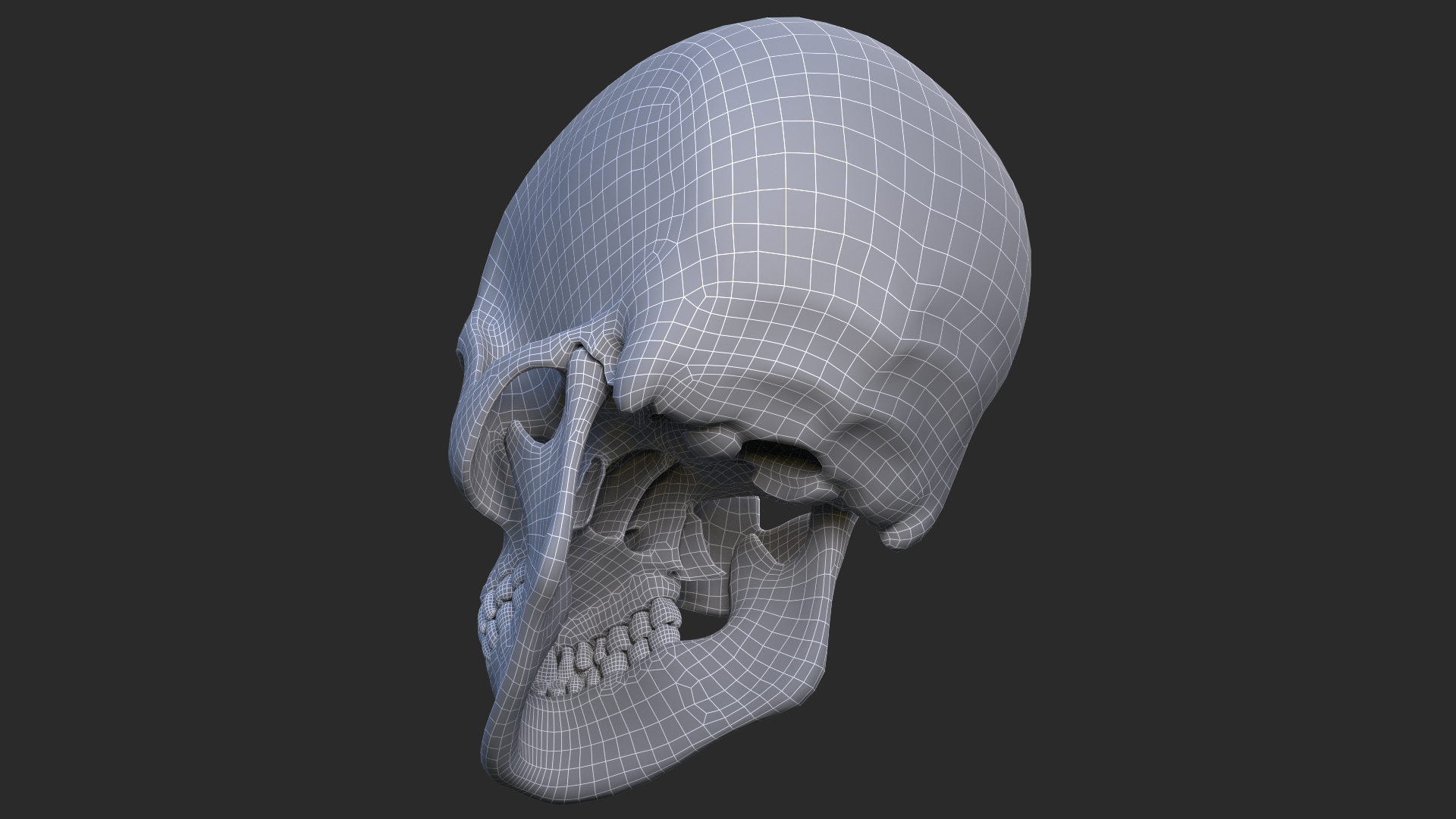 3D cranium skull - TurboSquid 1665219
