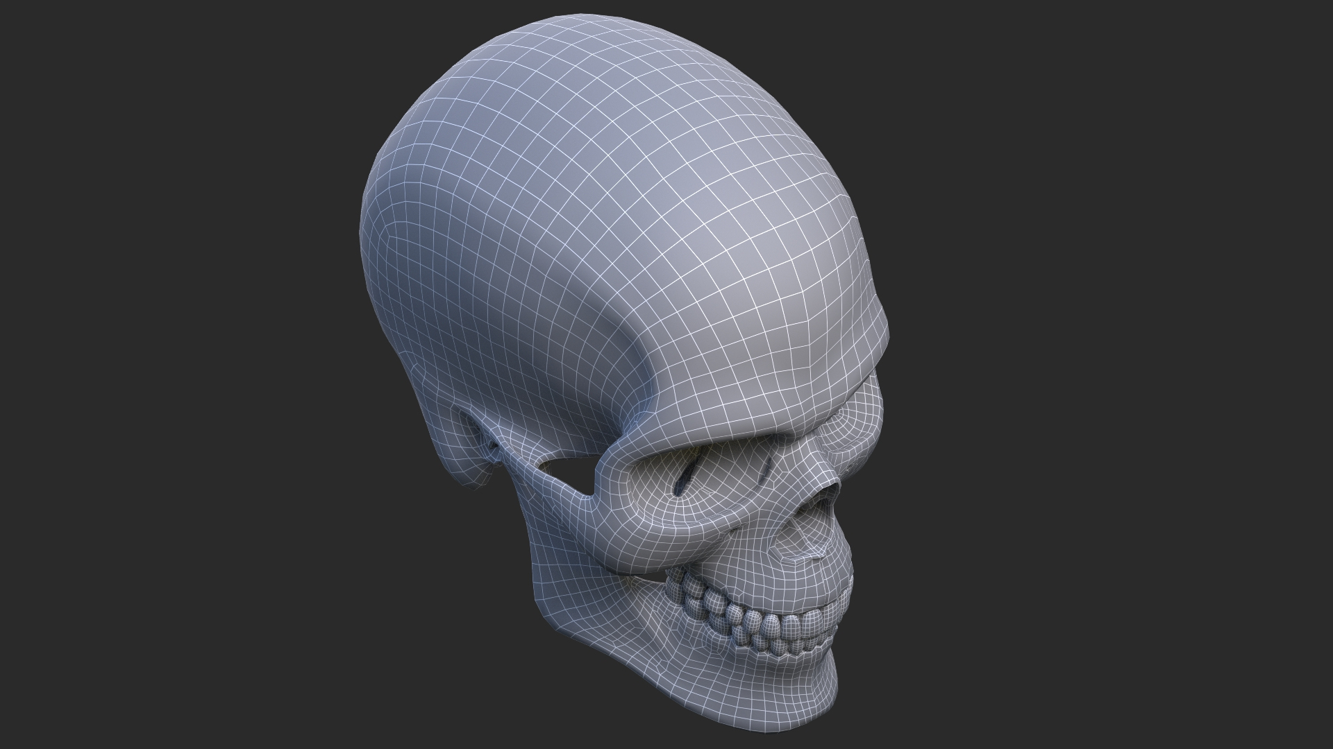 3D cranium skull - TurboSquid 1665219