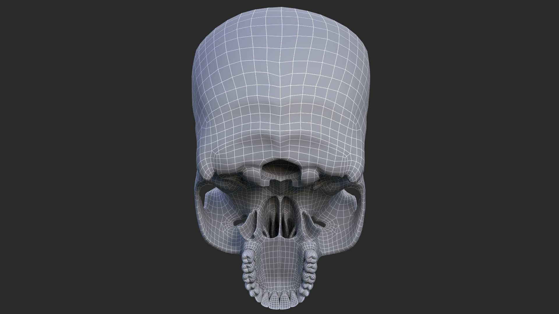 3D cranium skull - TurboSquid 1665219