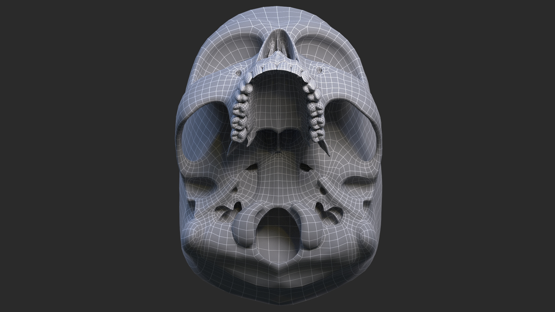 3D cranium skull - TurboSquid 1665219