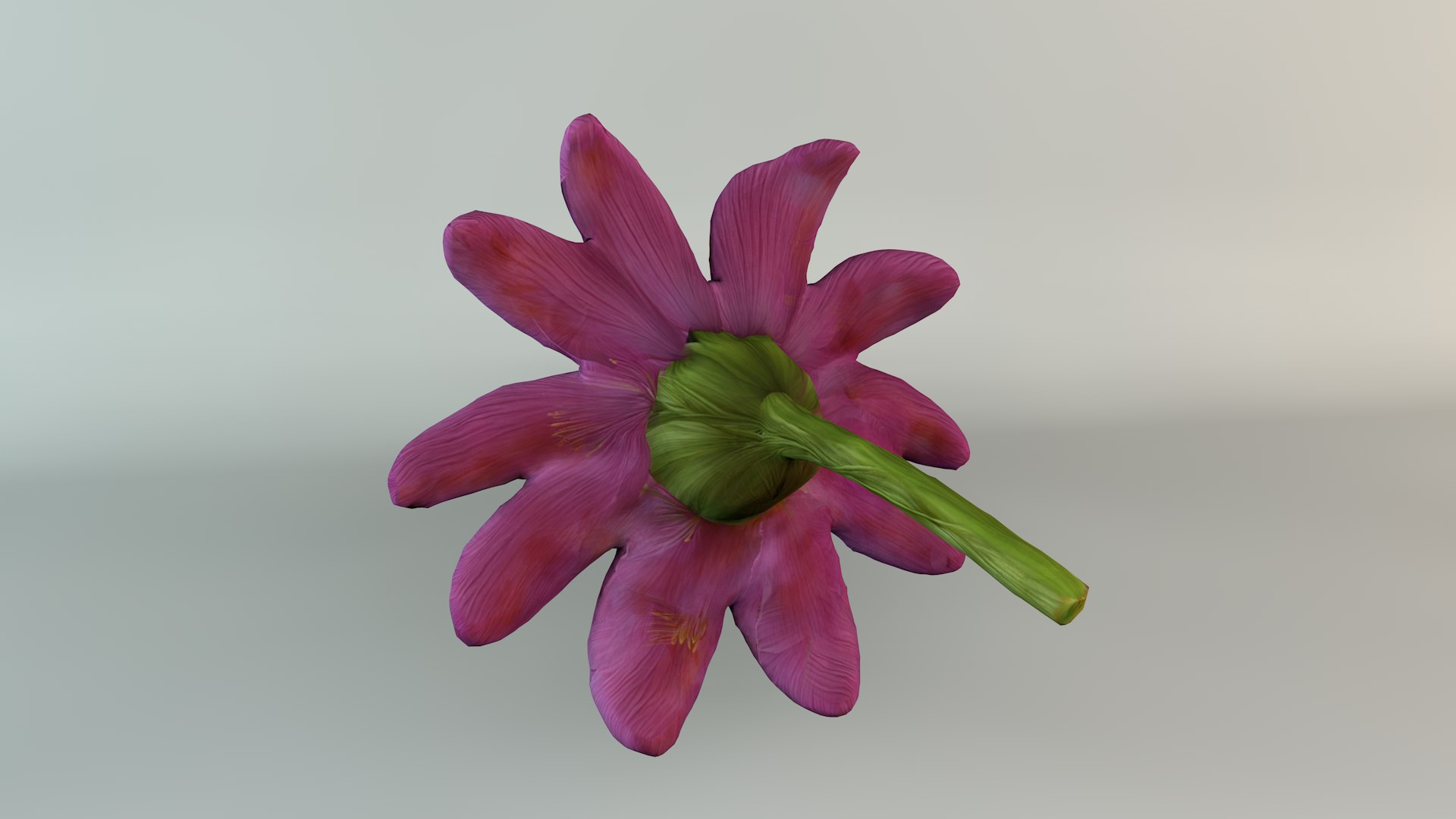 Stunning 3D Model Of A Vibrant Flower 3D Model - TurboSquid 2244717