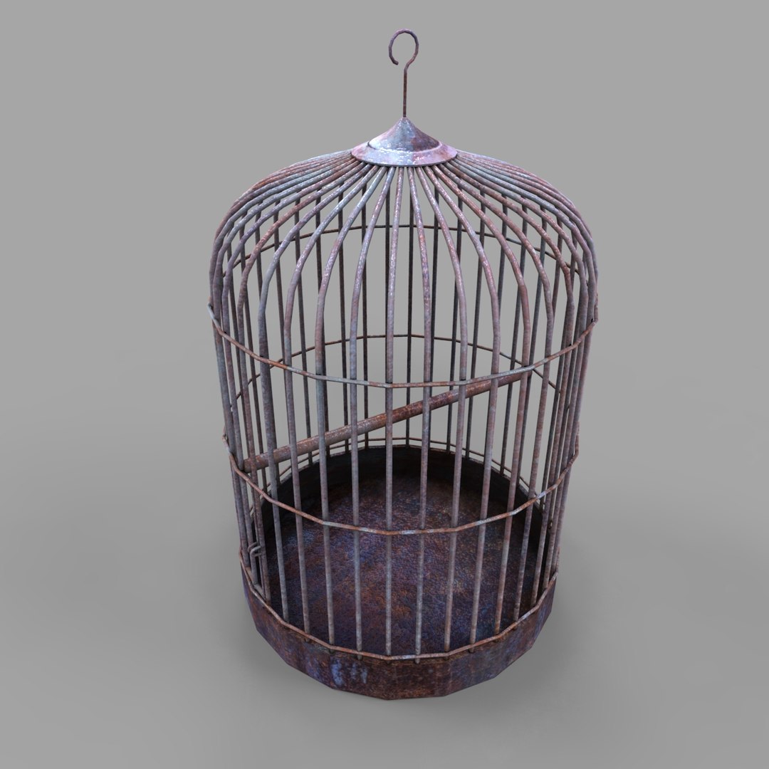 3D bird cage - TurboSquid 1286681
