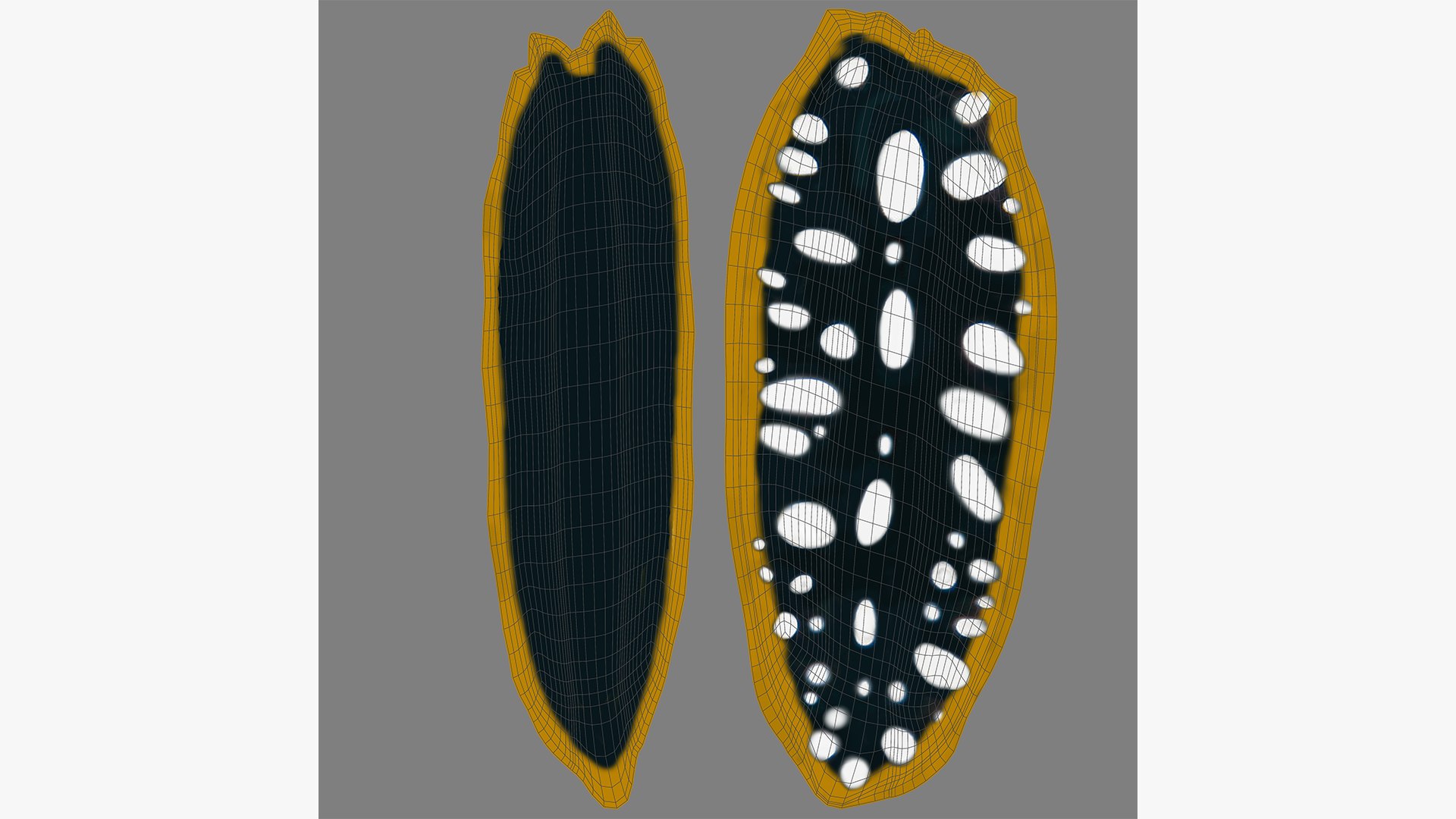 Brilliant Flatworm - Pseudoceros scintillatus 3D - TurboSquid 1855463