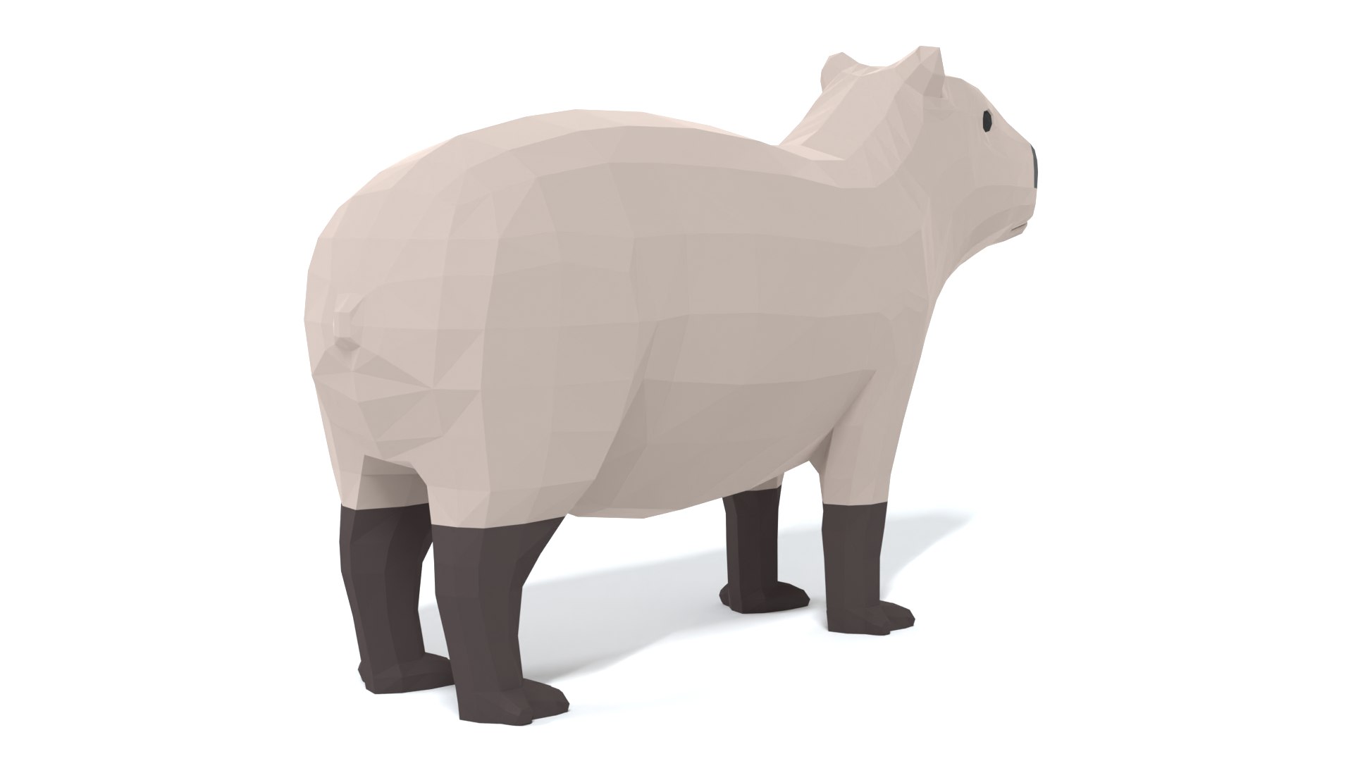 3D Low Poly Cartoon Capybara - TurboSquid 1845519