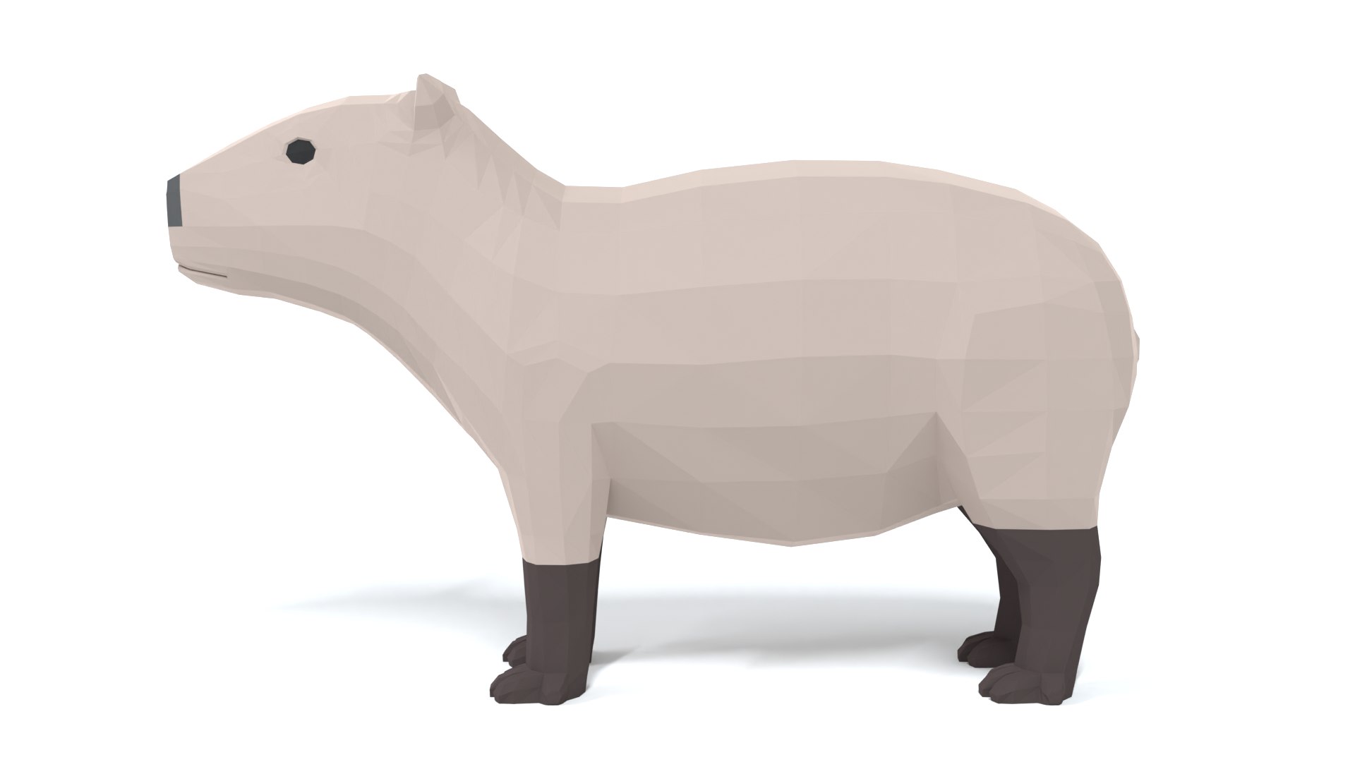 3D Low Poly Cartoon Capybara - TurboSquid 1845519