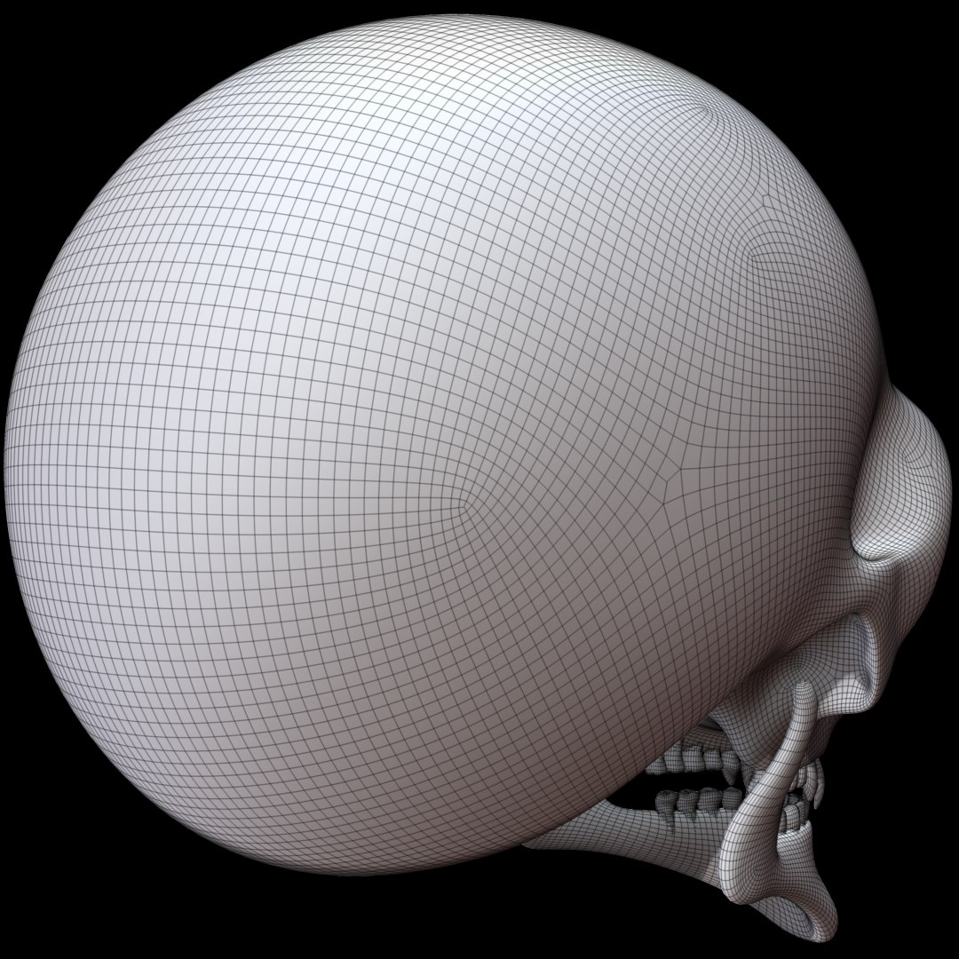 3D Skull - TurboSquid 1181632