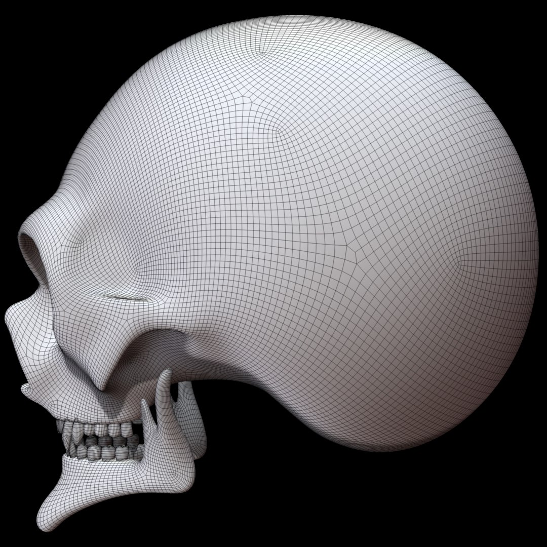 3D Skull - TurboSquid 1181632