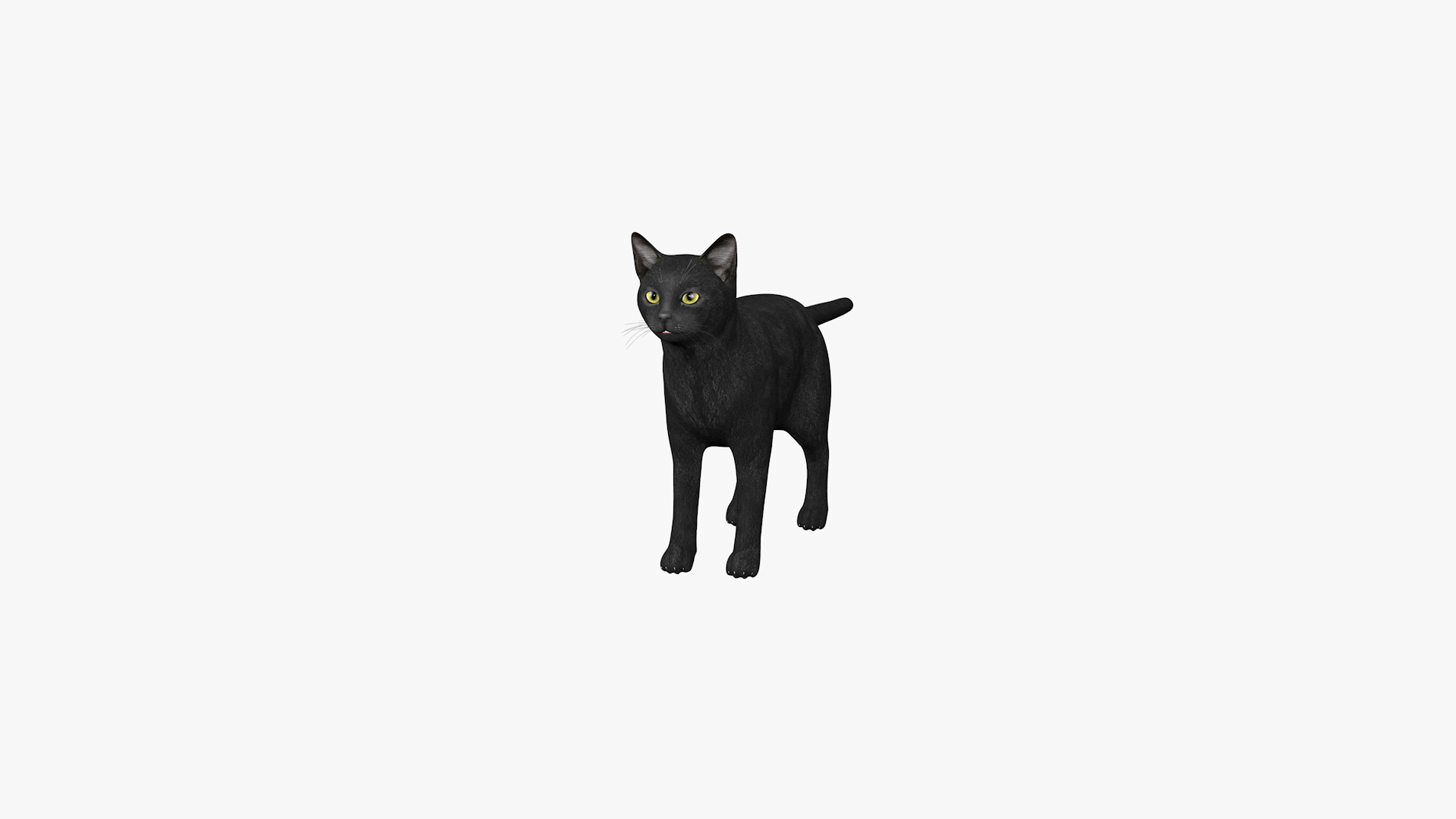 Black Cat 3D - TurboSquid 2343251