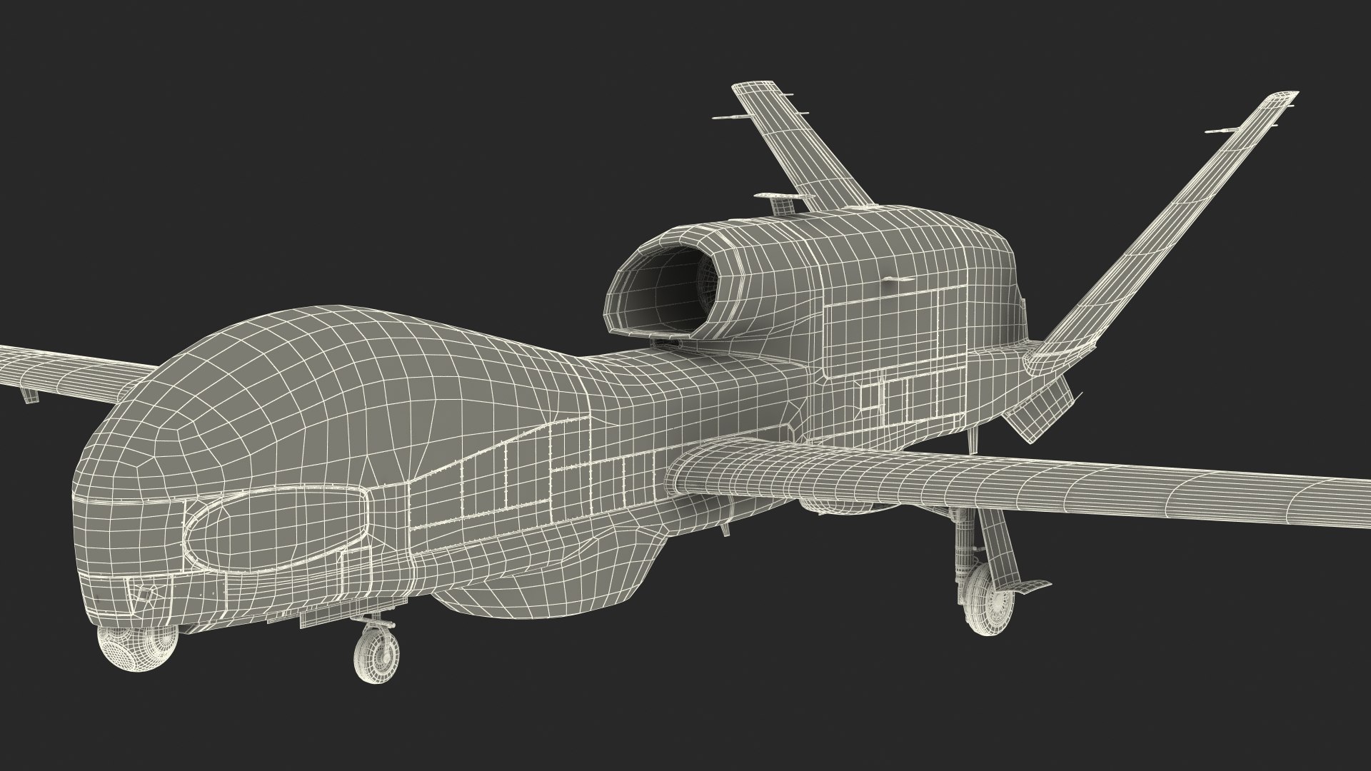 3D Northrop Grumman MQ-4C Triton Rigged For Maya - TurboSquid 2381771