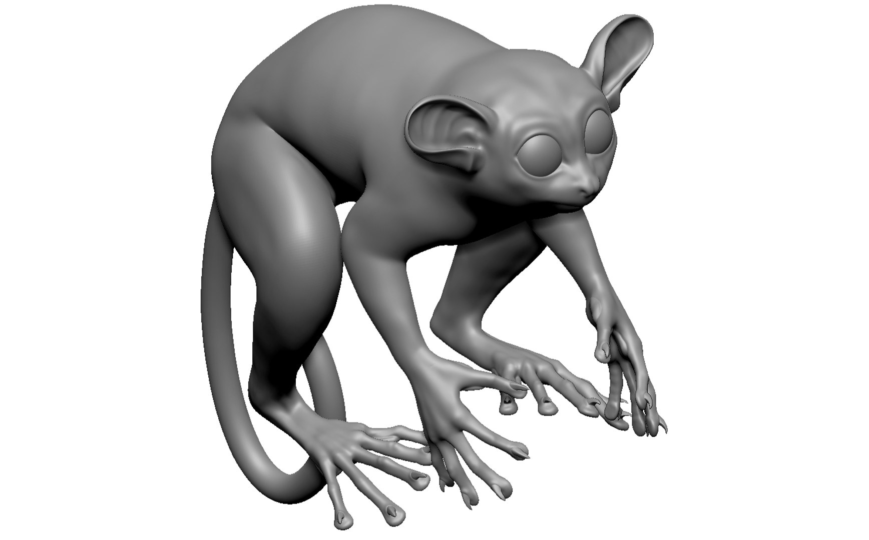 Tarsier Eyes 3D - TurboSquid 1538566