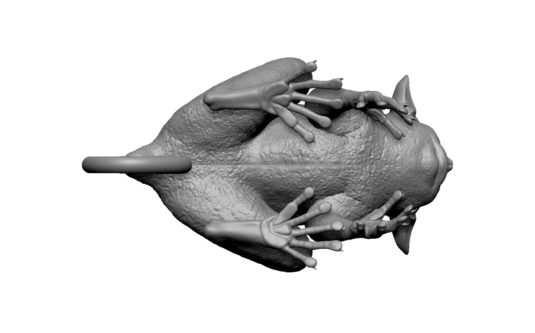 Tarsier Eyes 3D - TurboSquid 1538566