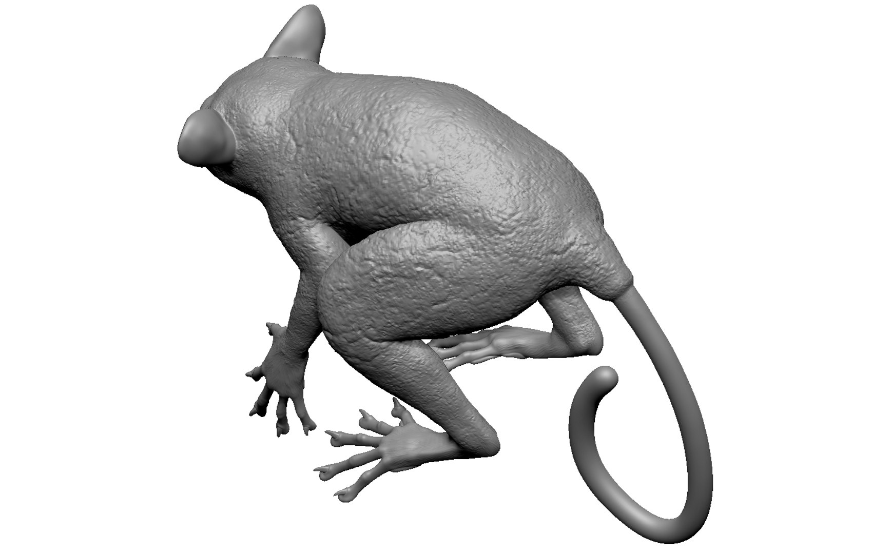 Tarsier Eyes 3D - TurboSquid 1538566