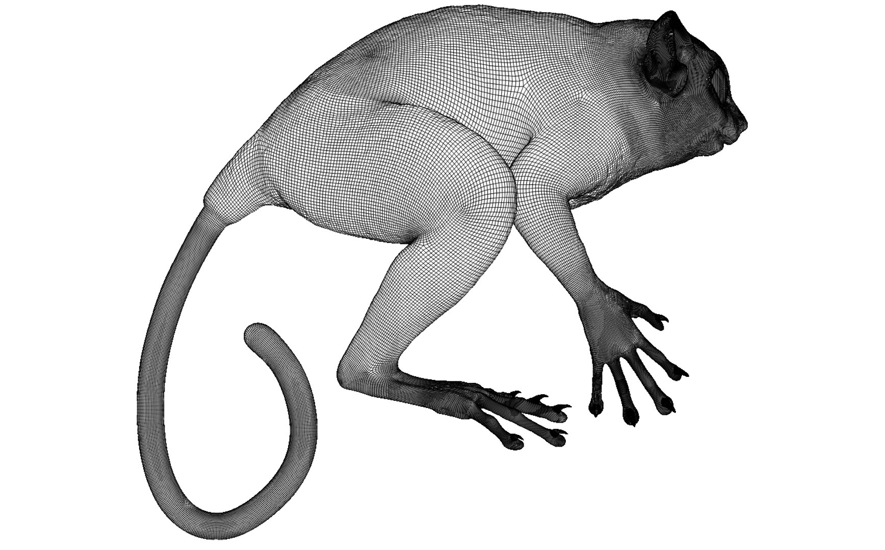 Tarsier Eyes 3D - TurboSquid 1538566