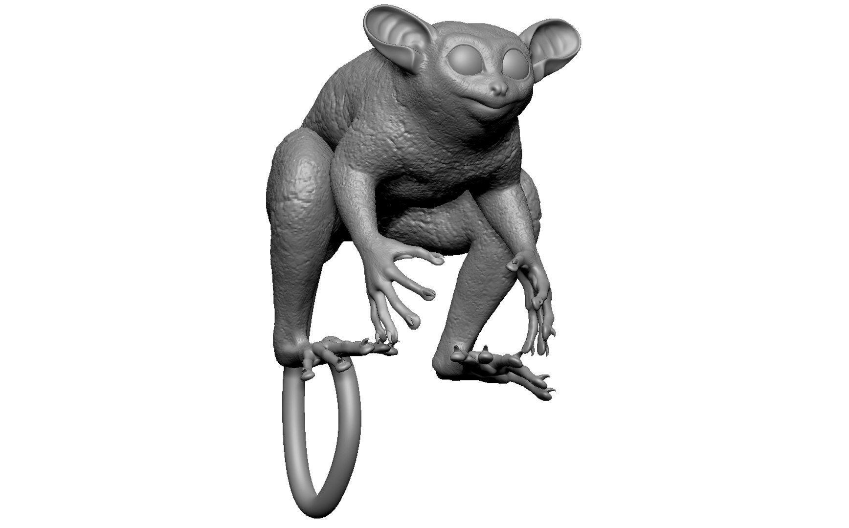 Tarsier Eyes 3D - TurboSquid 1538566