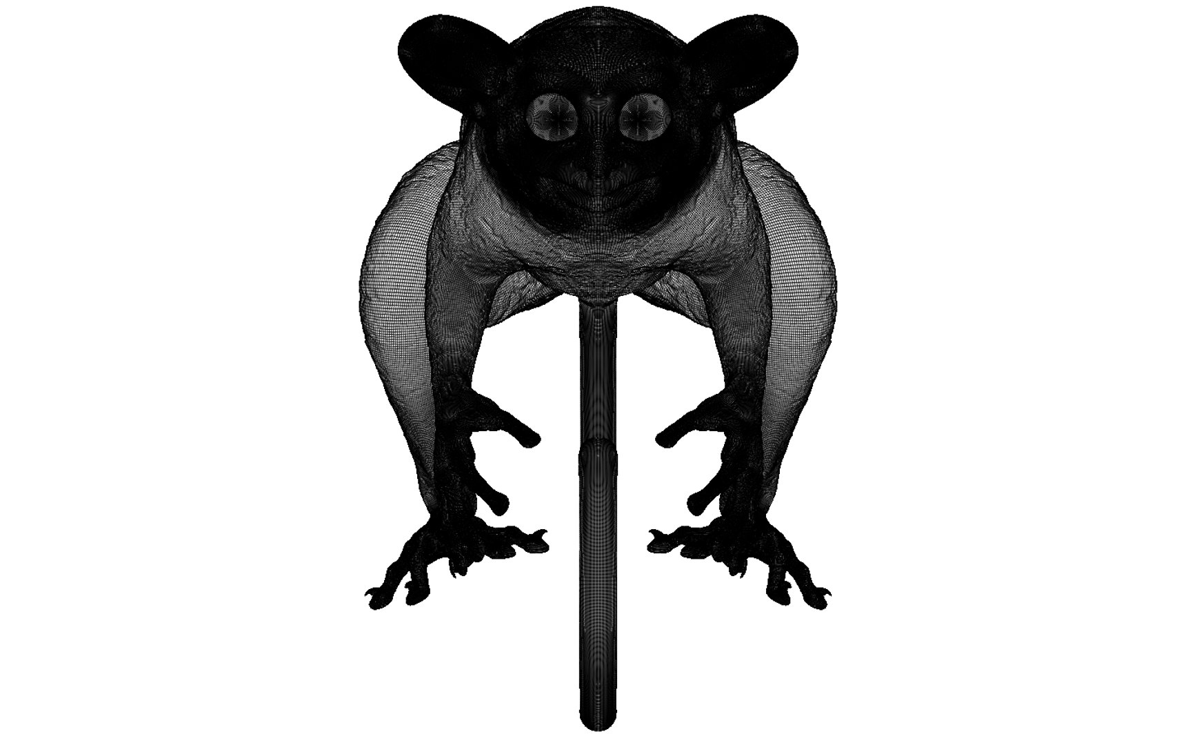 Tarsier Eyes 3D - TurboSquid 1538566