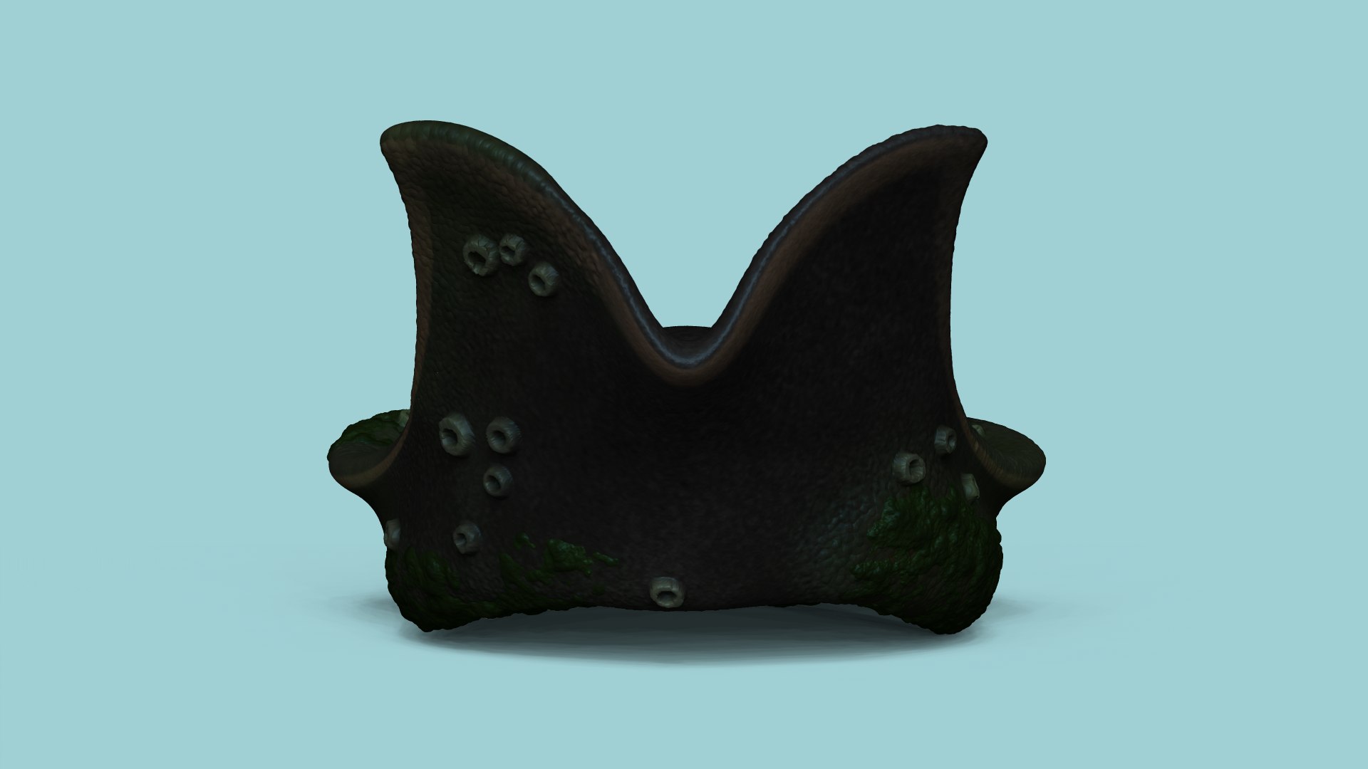 3D hat davy jones - model - TurboSquid 1630824