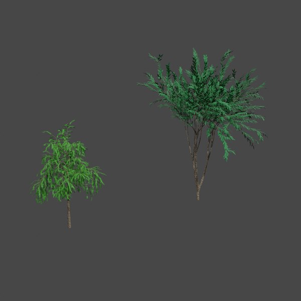 Trees pbr nature 3D - TurboSquid 1521917