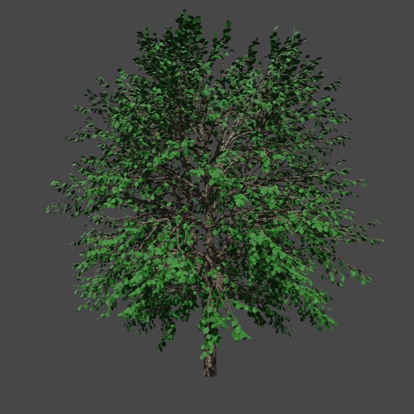 Trees pbr nature 3D - TurboSquid 1521917