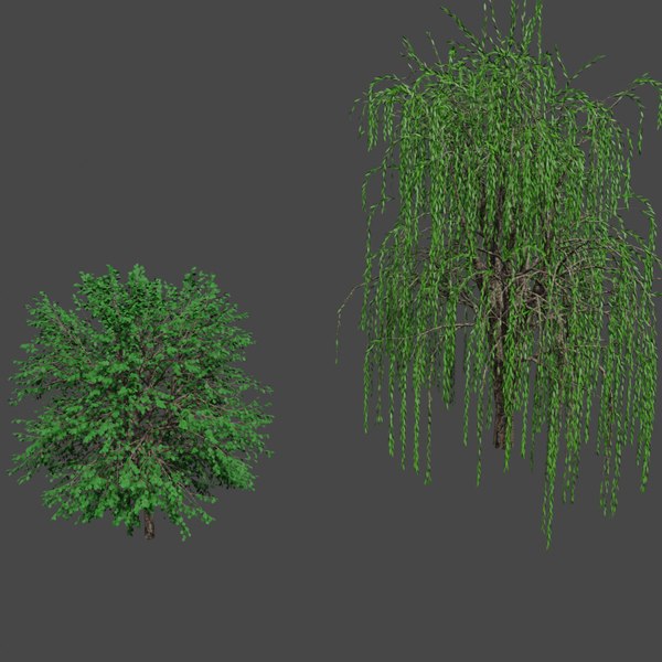 Trees pbr nature 3D - TurboSquid 1521917
