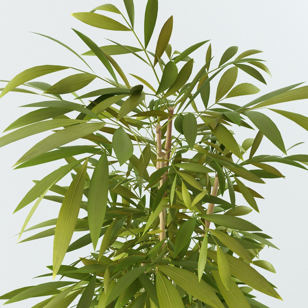 Artificial Bamboo Stick 3d Model