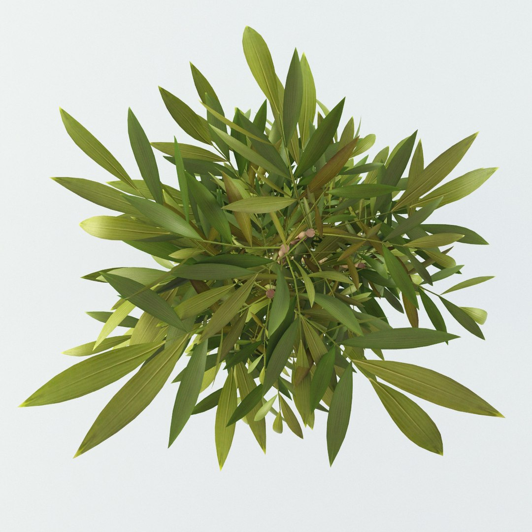 Artificial Bamboo Stick 3d Model