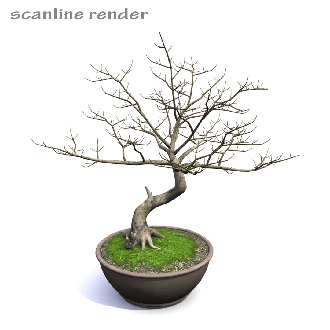 3d bonsai s model