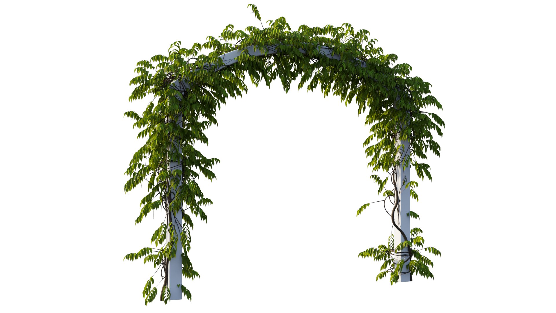 Tree 07 3D Model - TurboSquid 1661471