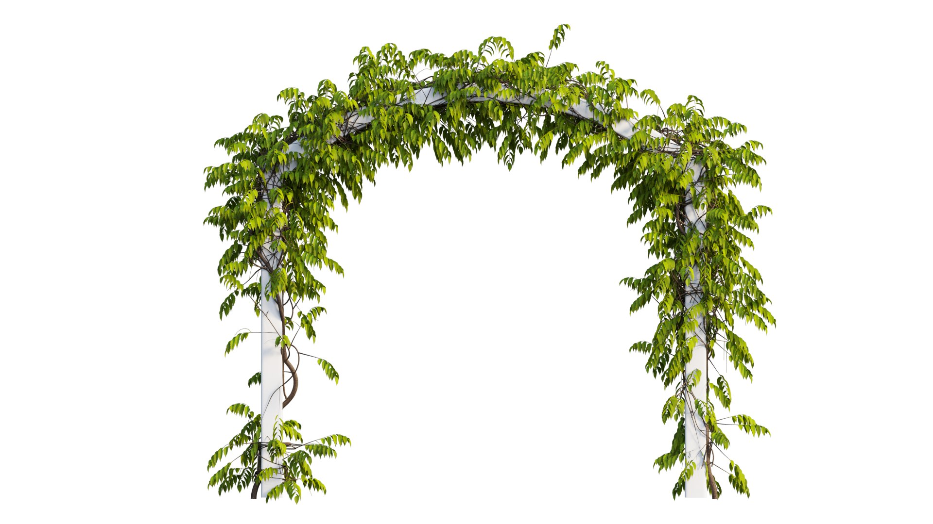 Tree 07 3D Model - TurboSquid 1661471