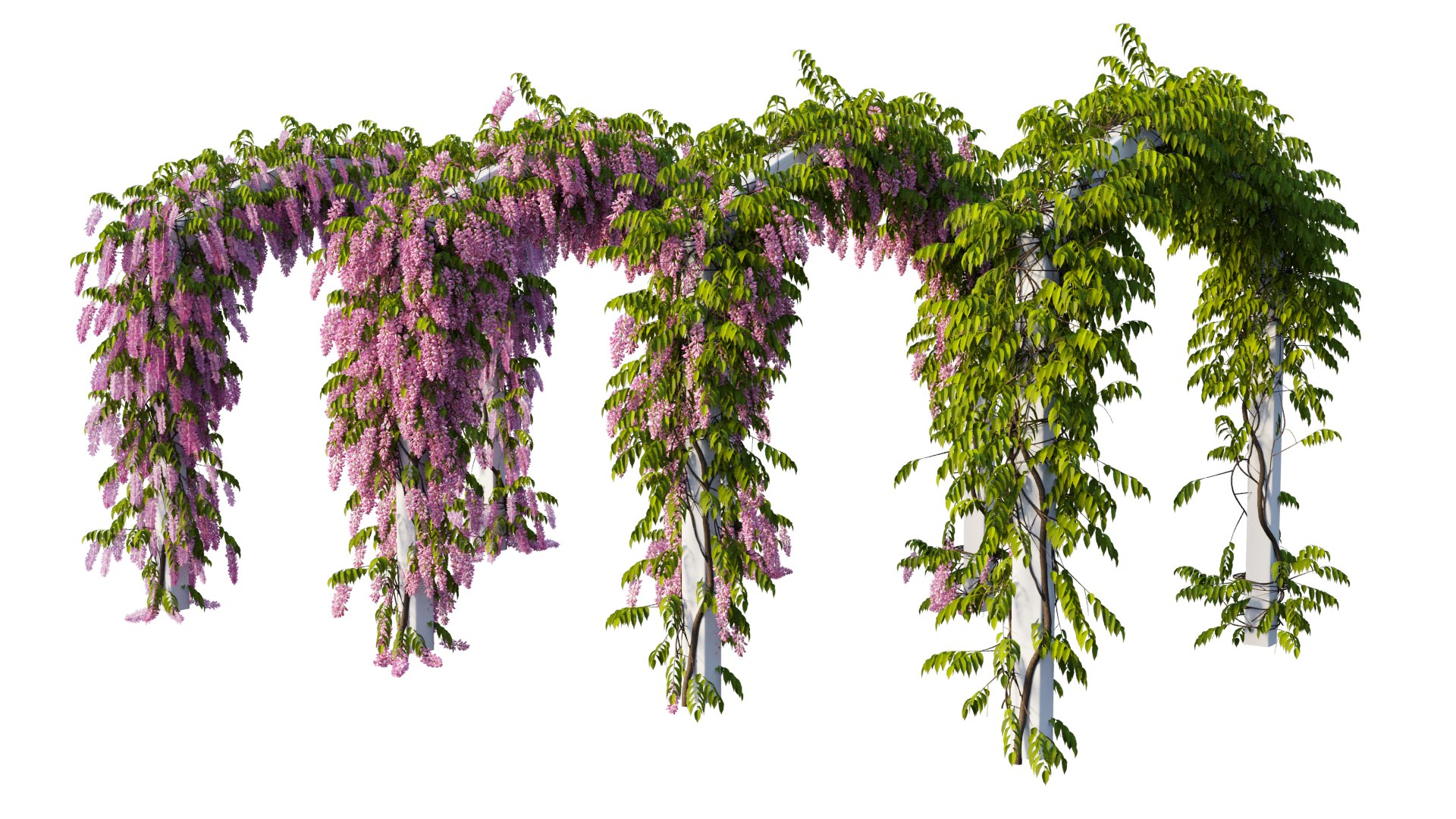 Tree 07 3D Model - TurboSquid 1661471