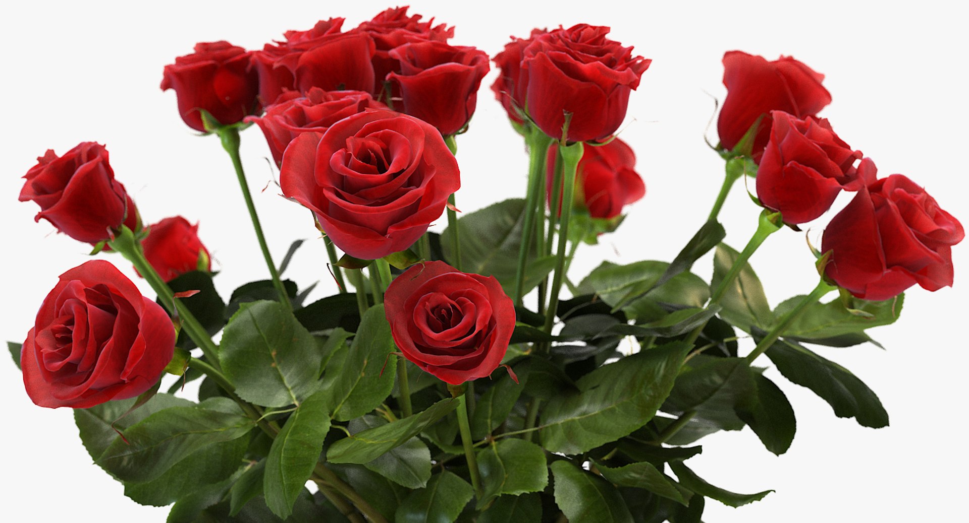 Rose Red Flower Bouquet Obj