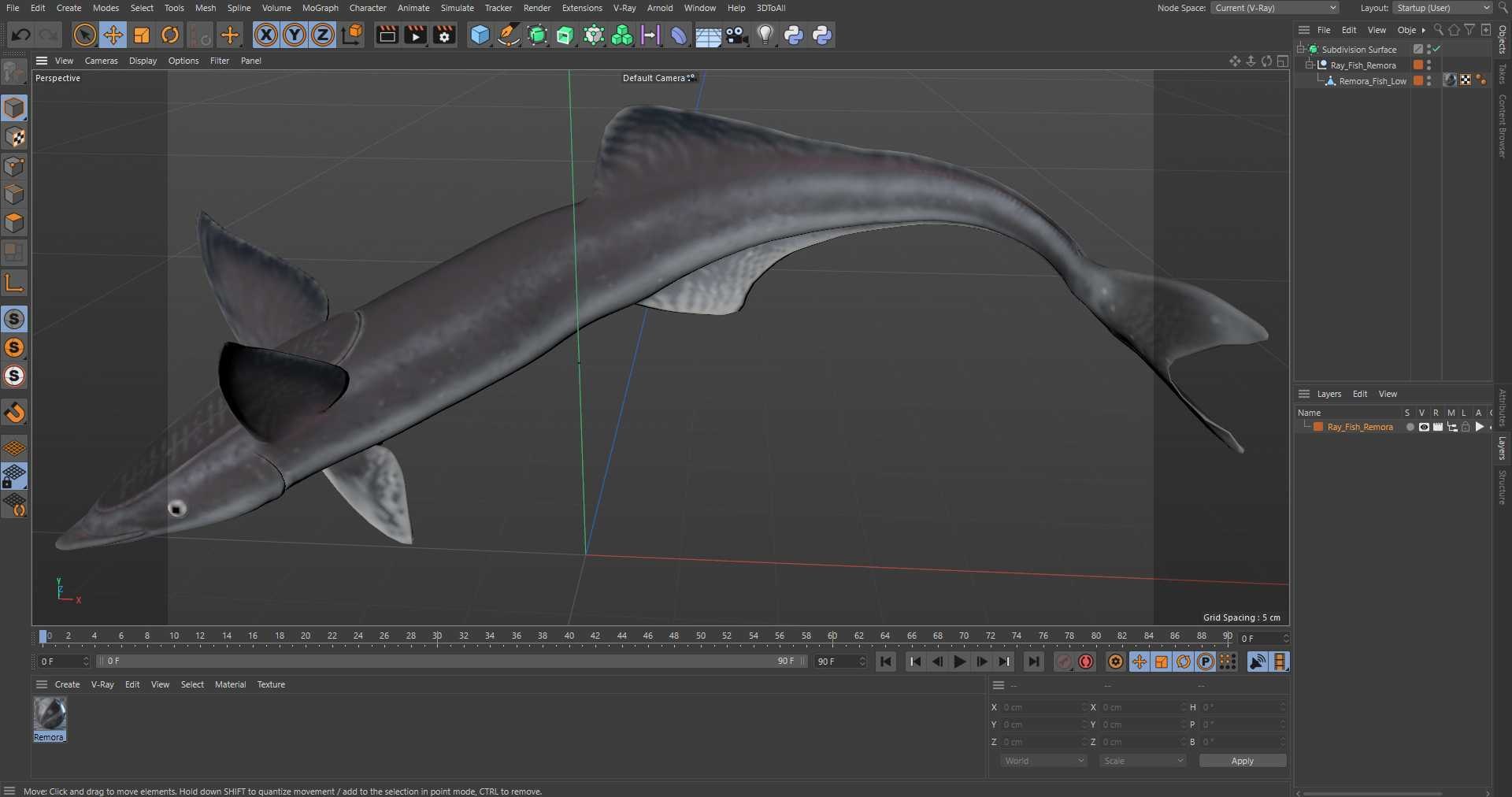 3D Ray Fish Remora Model - TurboSquid 2437492