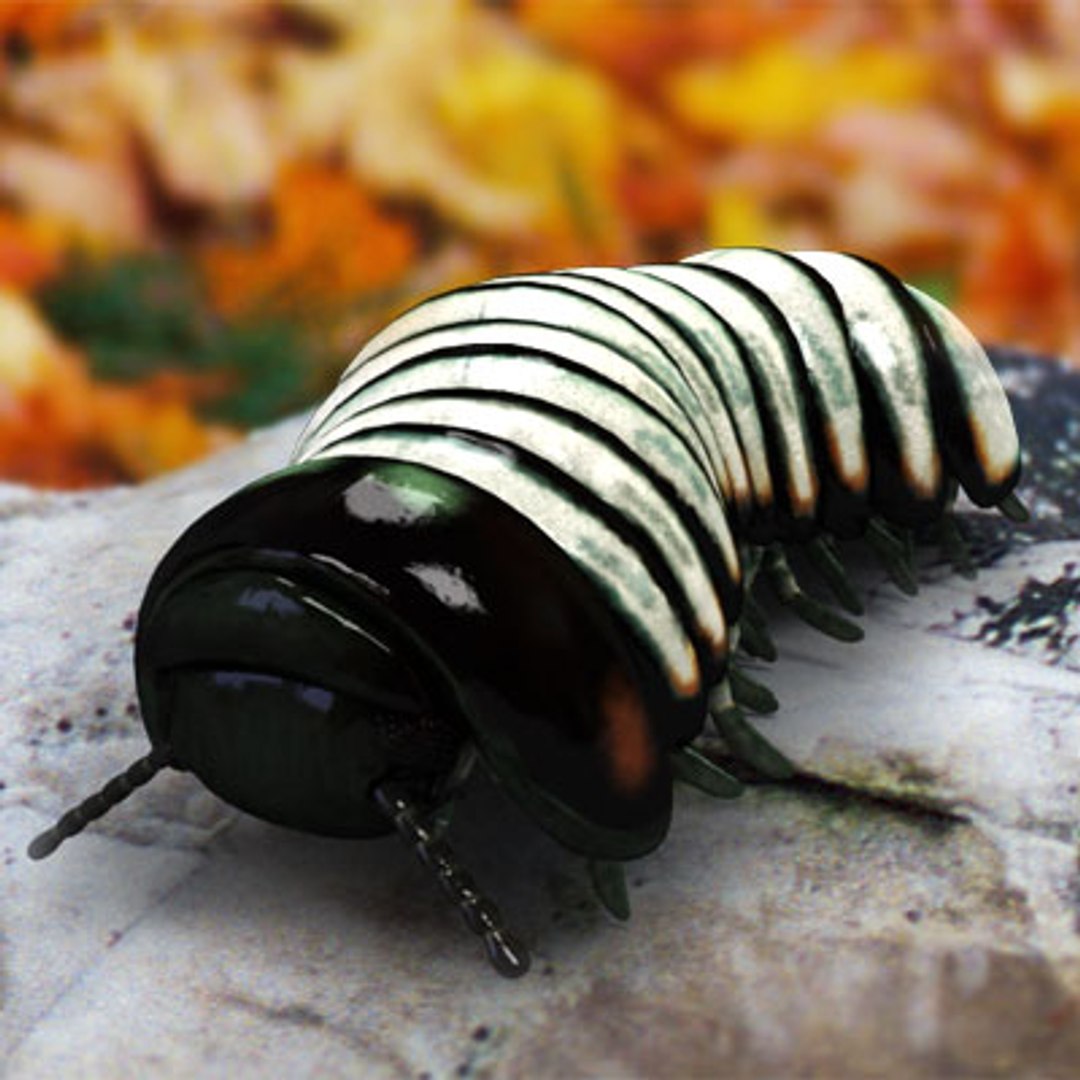 Giant Zephronia 3d 3ds