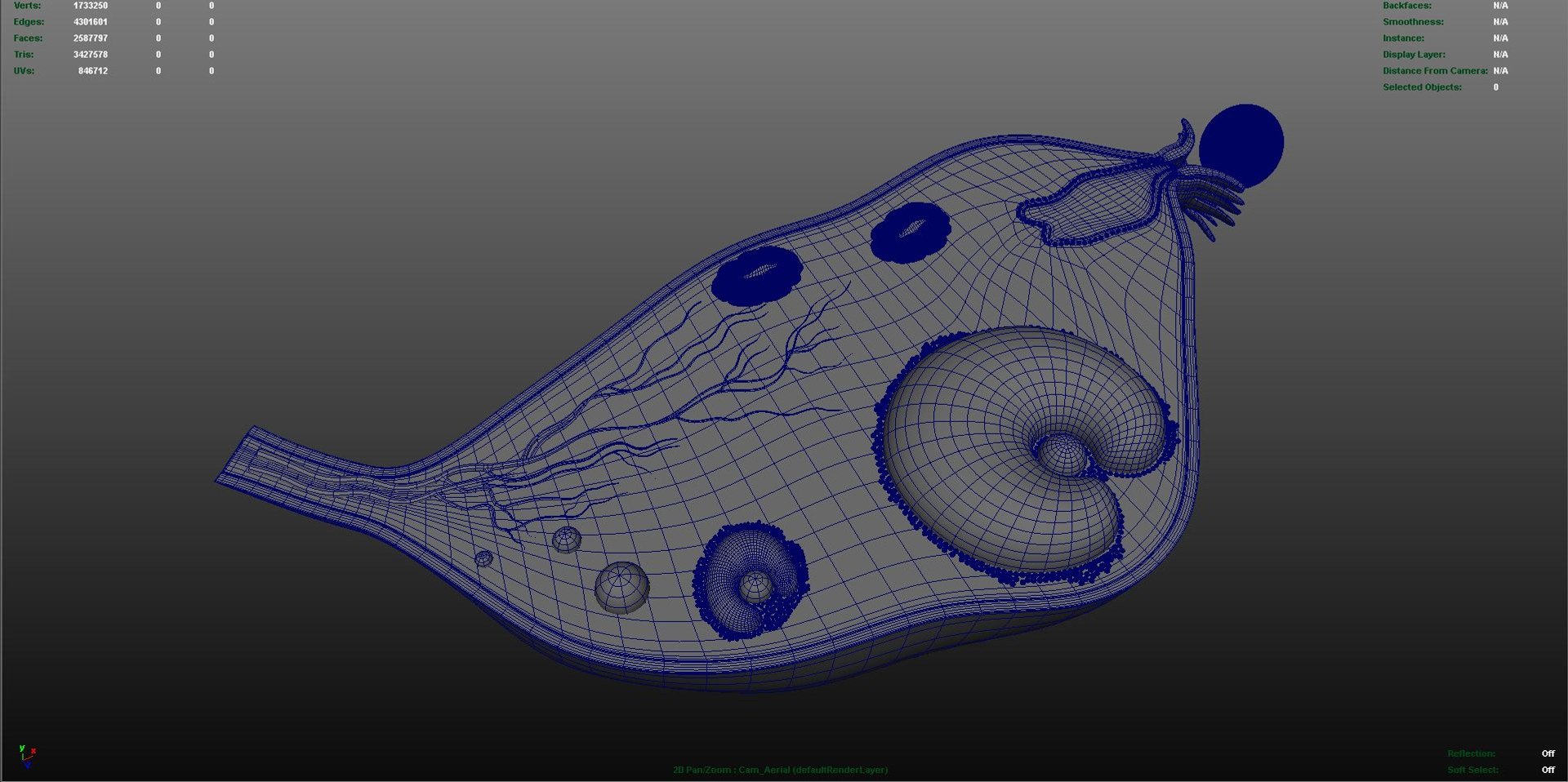 Ovary Anatomy Ov Obj