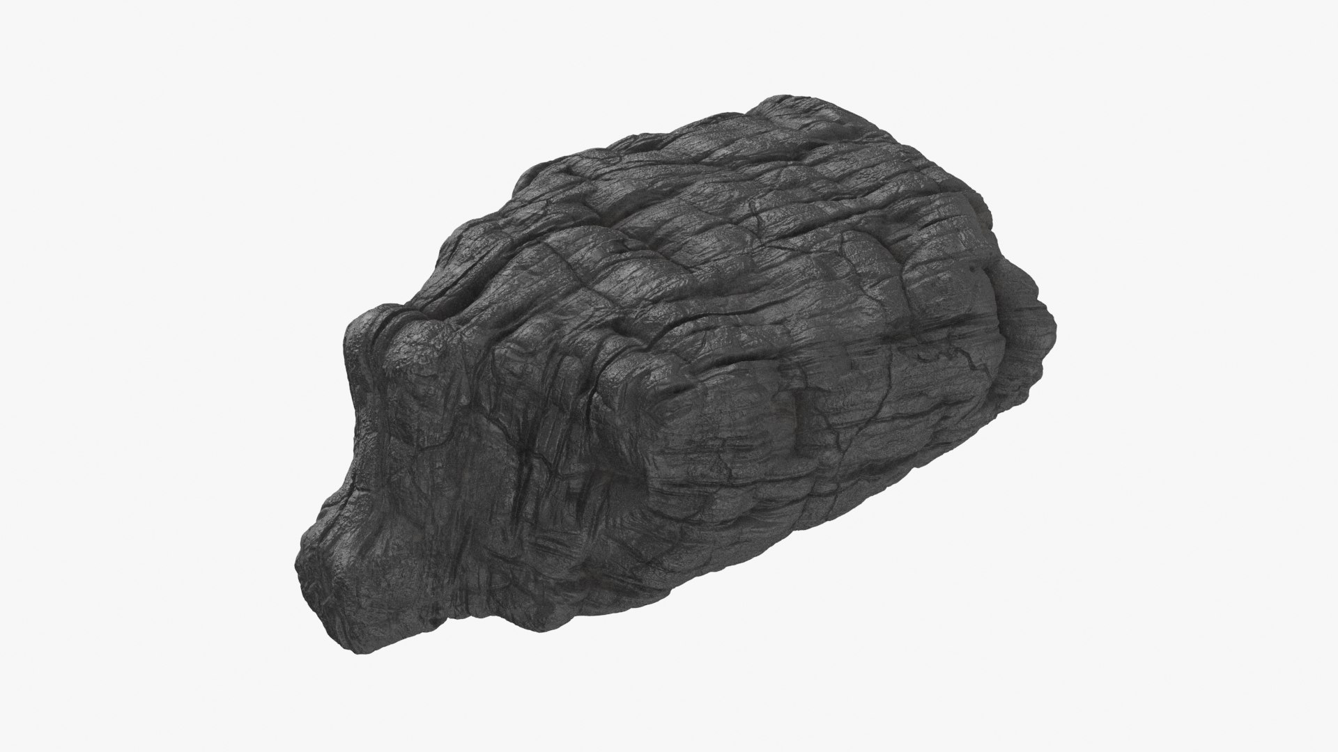 3D Burnt Log 01 Model - TurboSquid 2149211
