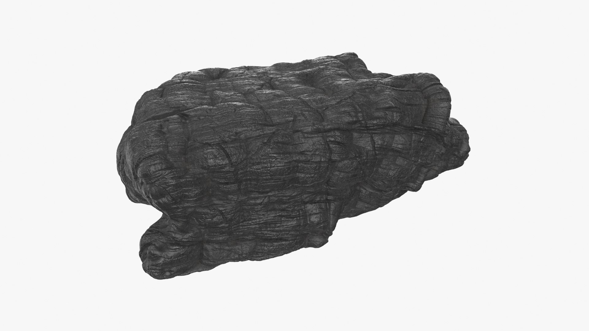 3D Burnt Log 01 Model - TurboSquid 2149211
